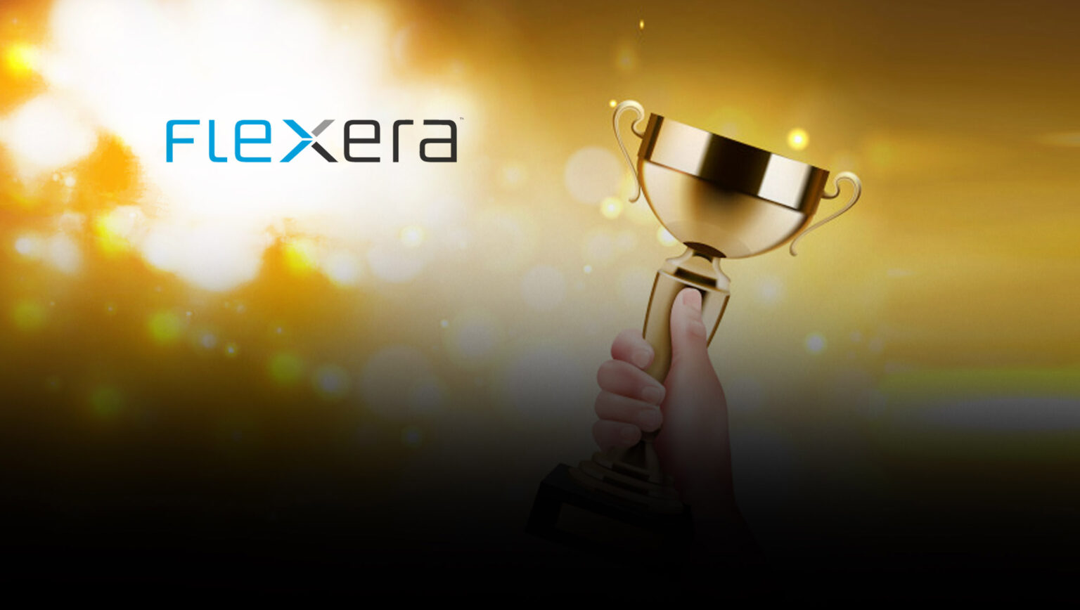 Flexera Announces Annual Partner of the Year Award Winners