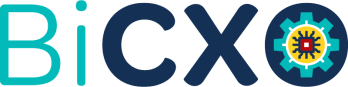 BiCXO- Bi tool Recommends How Companies Achieve Business Growth