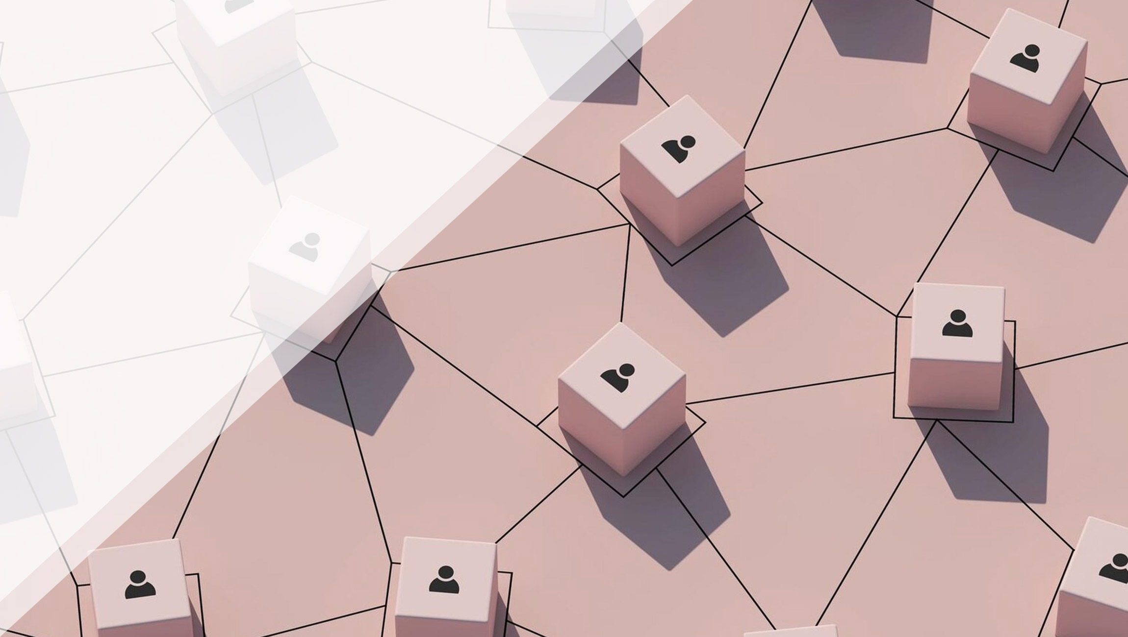 Lumen Appoints Jim Fowler as Chief Technology & Product Officer